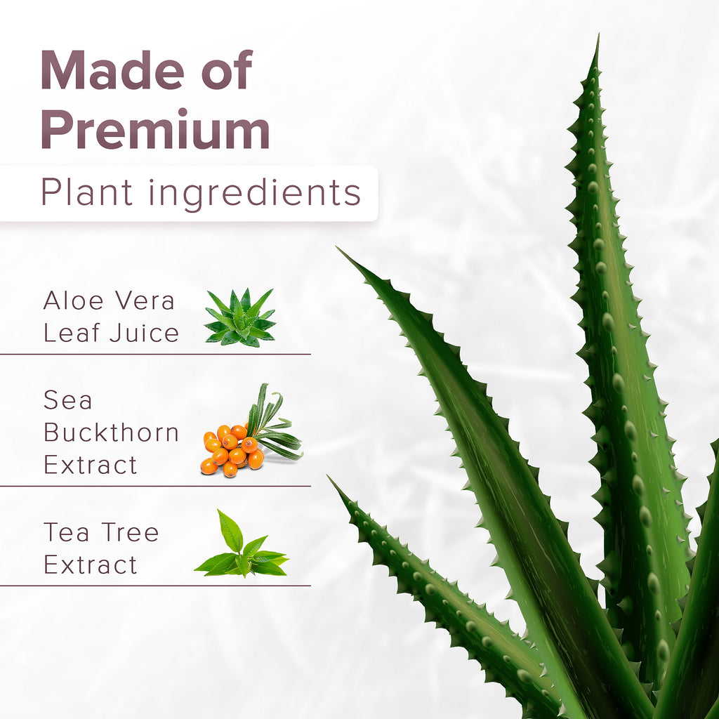 DR. SCHAVIT FEMOXIL Vaginal Suppositories - Natural Plant-Based Formul ...